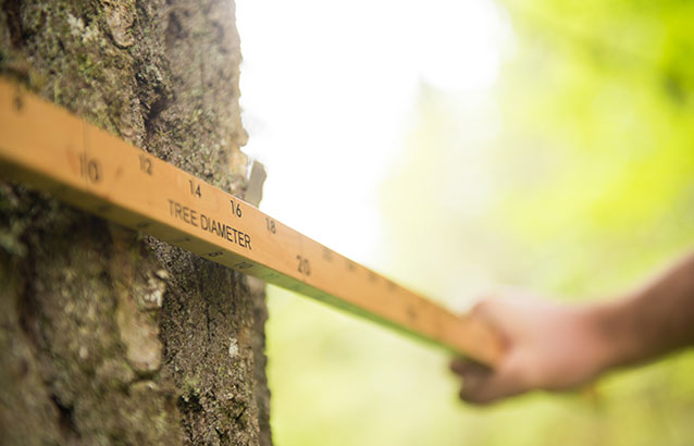 Dave Stemper, forest ecosystems & society - Oregon State Ecampus